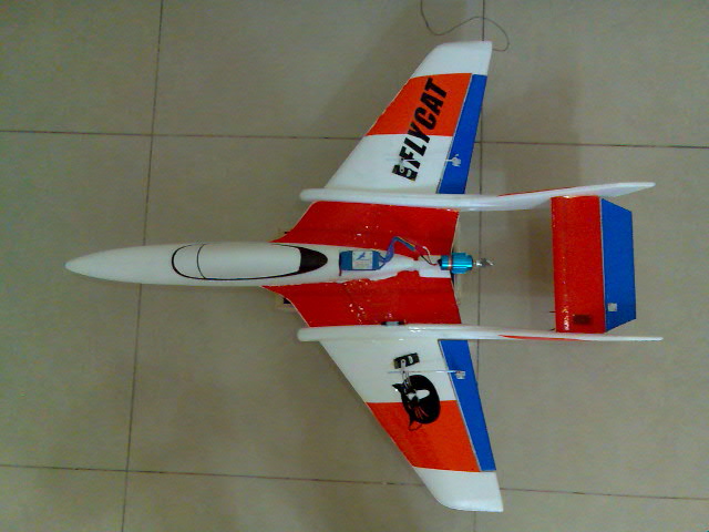 Fly Cat - Team daddyHOBBY - Radio Control & Electronics