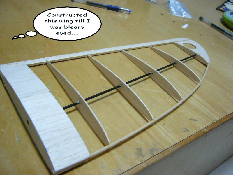 The Bug Micro HLG - Team daddyHOBBY - Radio Control & Electronics