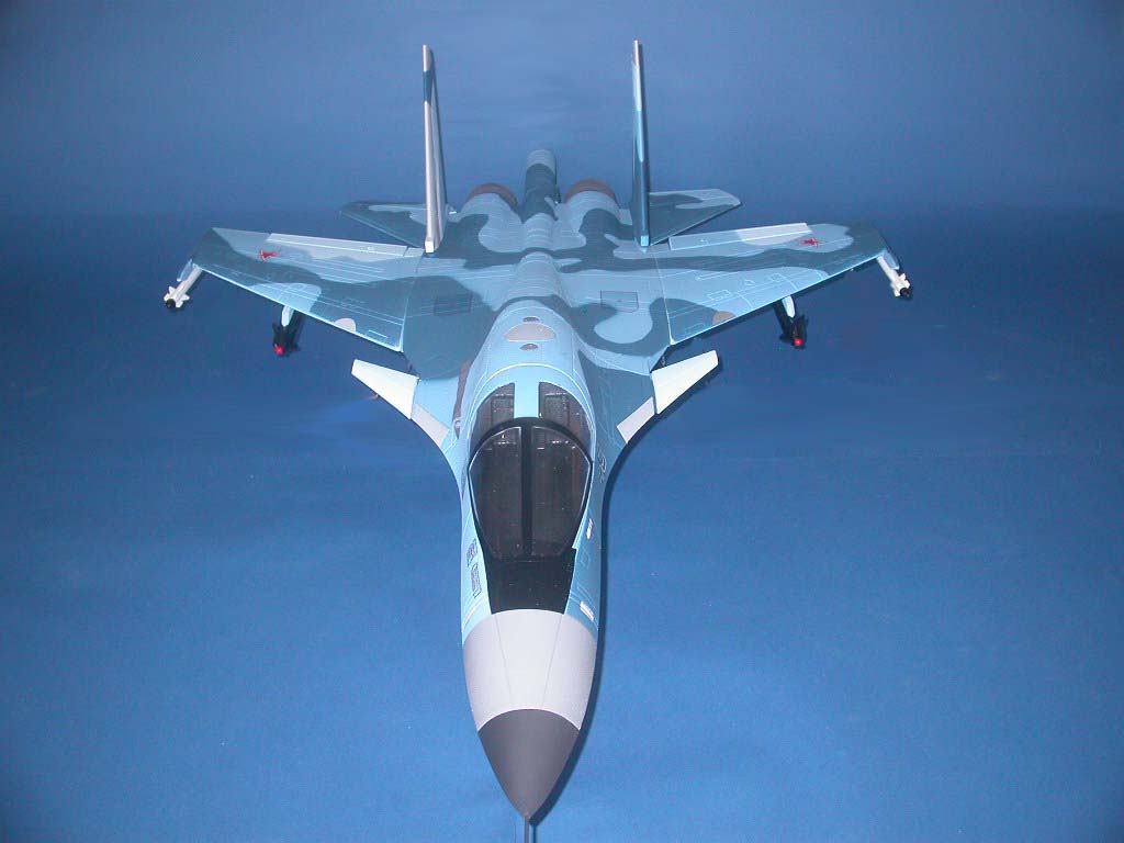 SU-47 with Thrust Vectoring - Team daddyHOBBY - Radio Control & Electronics