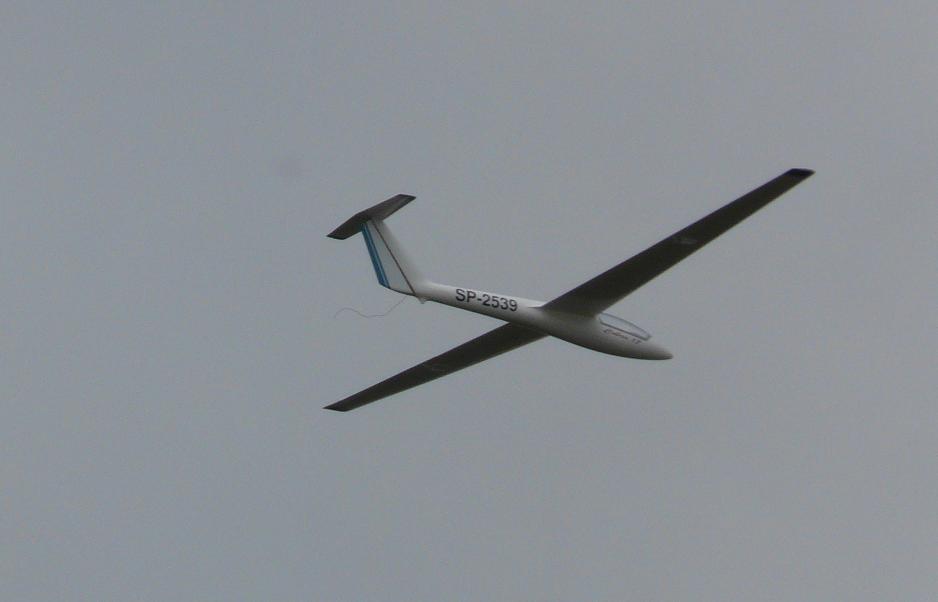 Cobra-17 semi-scale glider - Team daddyHOBBY - Radio Control & Electronics