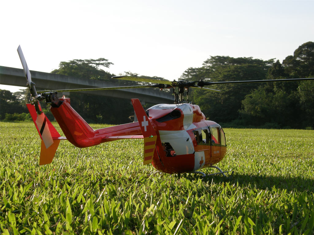 HK 600 GT With EC 145 - Team daddyHOBBY - Radio Control & Electronics